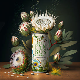 DrinkCapeFynbos – Drink Cape Fynbos